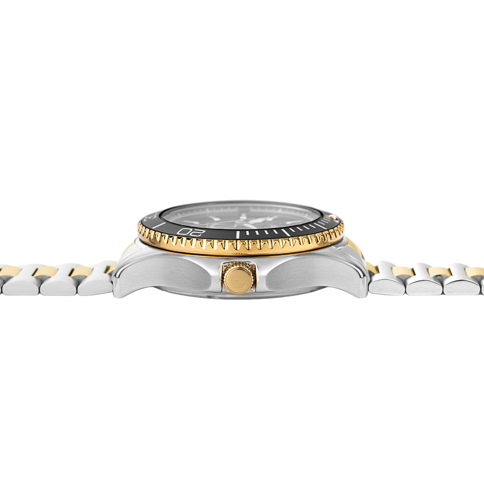 Fight Fight Fight Silver Gold – Trump Watches